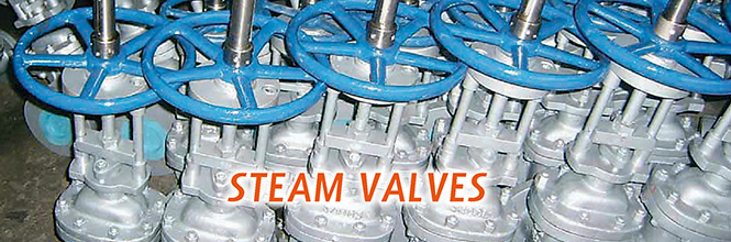 Steamco - Australian Pipeline Valve